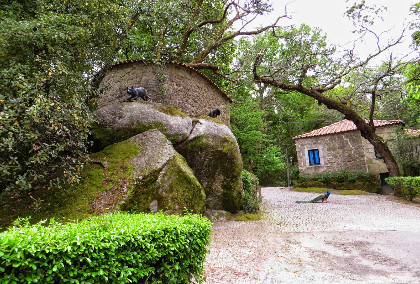 Parque Do Fontelo